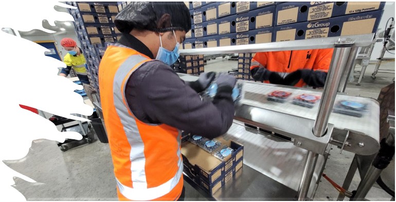 Join our team - Oz Group Coop